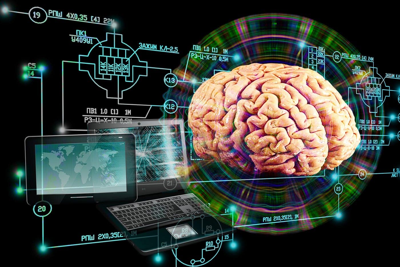 Scientists Experiment on Building Living Computers Powered by Brain ...