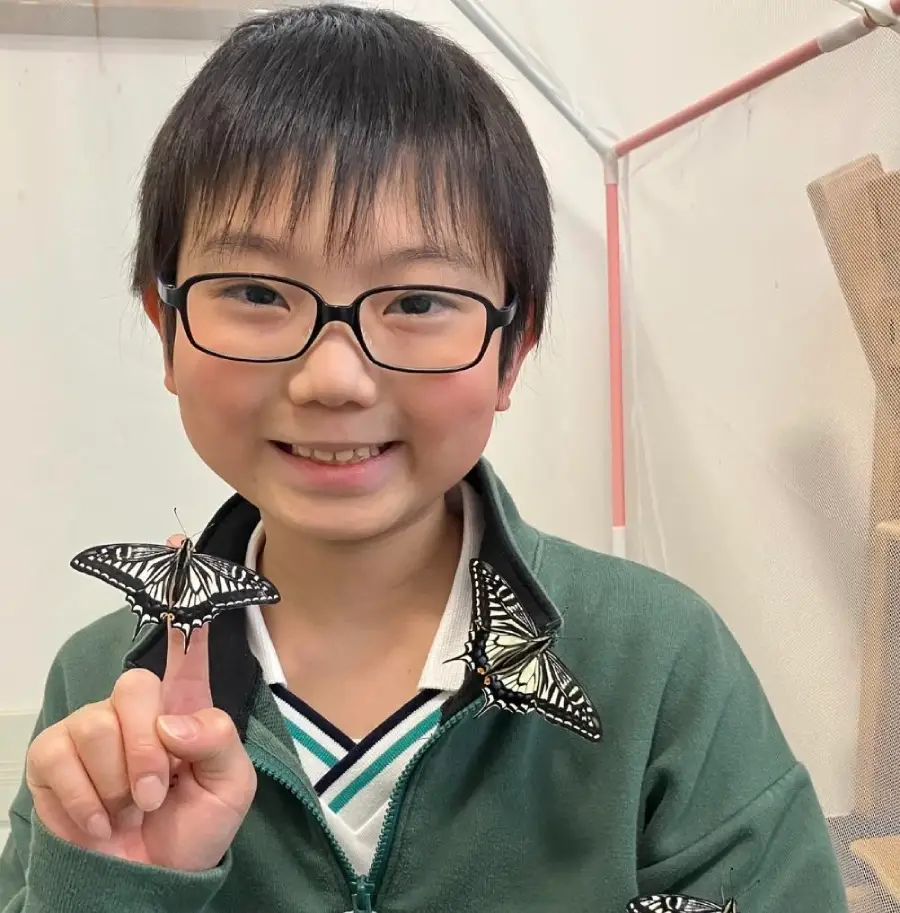 A 10-Year-Old Discovers Butterflies Remember Caterpillar Life – KidzNet